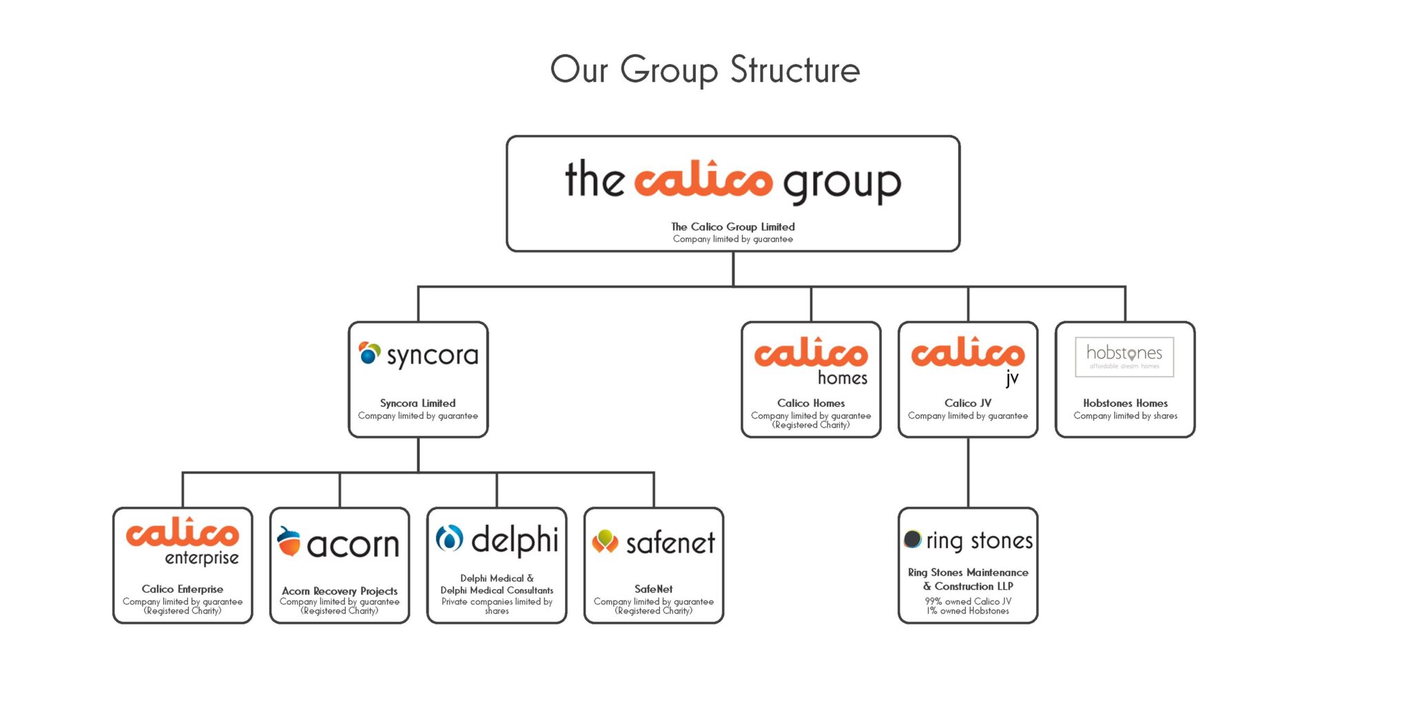 The Calico Group - Calico Board